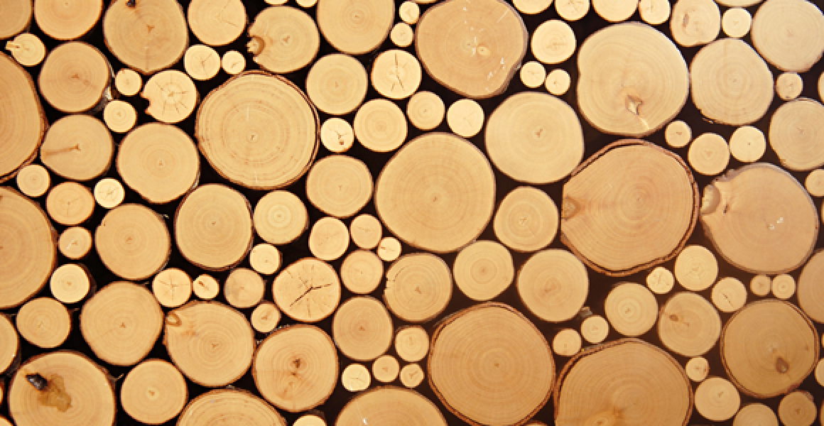 El elemento madera en la astrología china